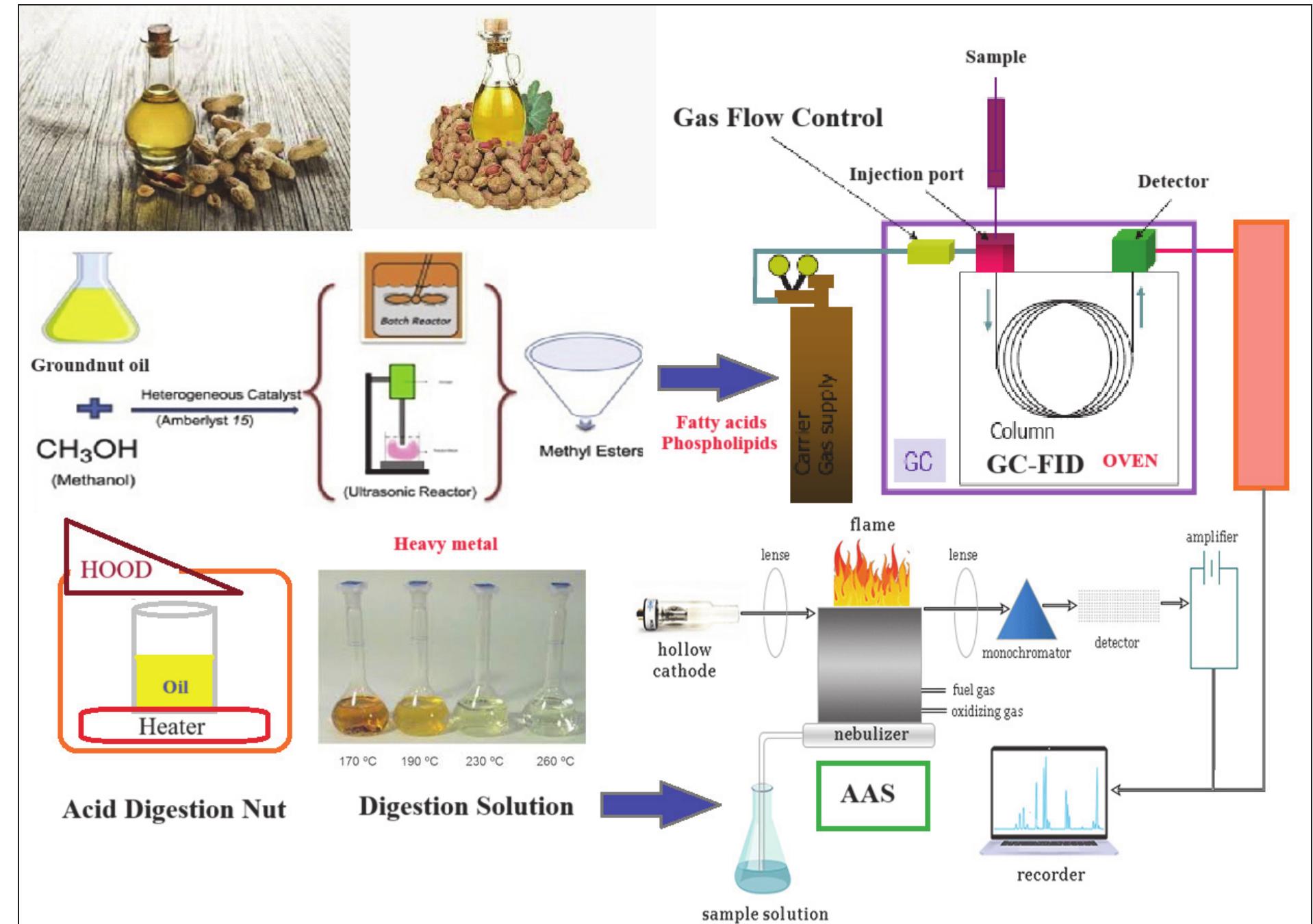 Procedure for sample extraction/separation of fatty acid,