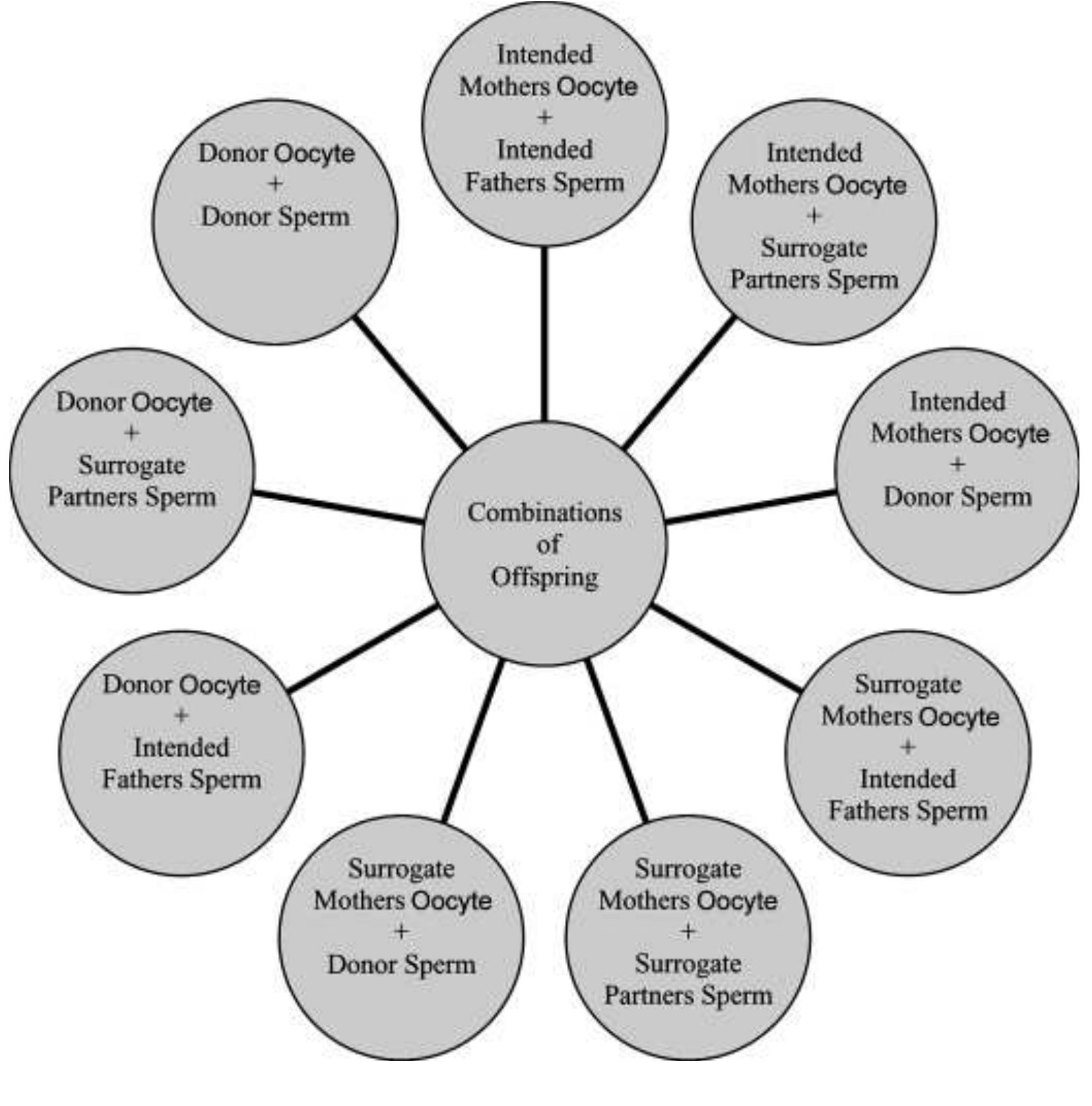 Figure 1 - Ethical Issues in the Surrogate Maternity
