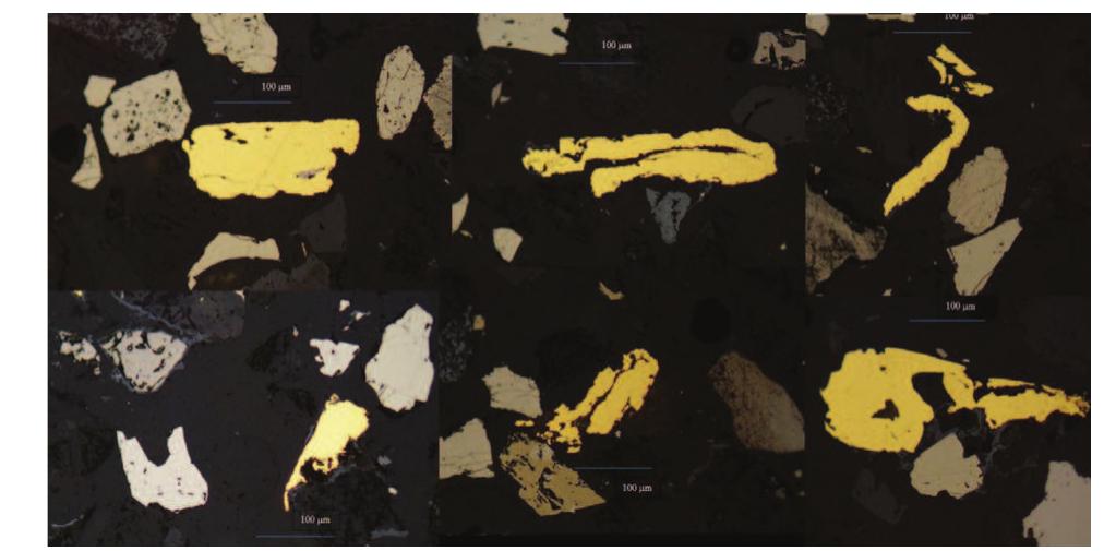 —examples of typical gold particles found in the grg
