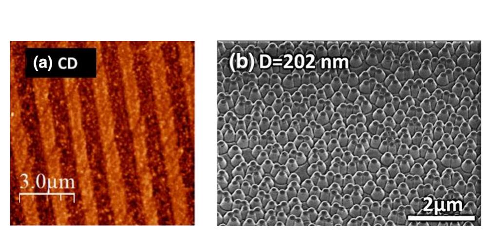 (a) atomic force microscope image of ordered nanostructure
