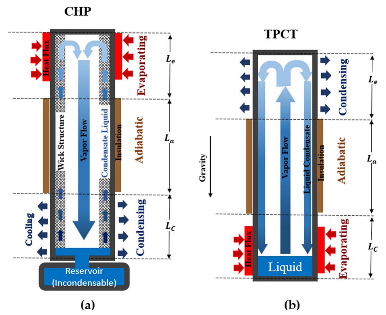 Schematic view for operation mechanism of (a) chp and (b)