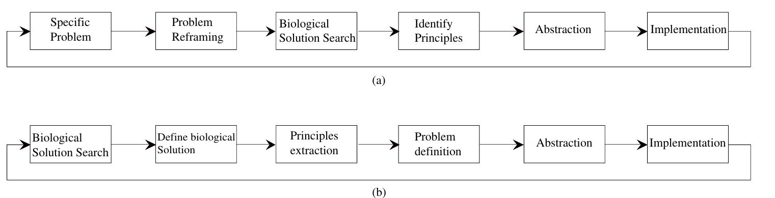 (PDF) From Bioinspiration to Biomimicry in Architecture: Opportunities and Challenges