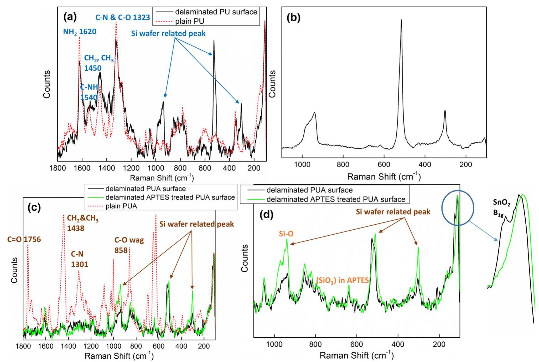 Raman spectra of a delaminated pu surface and plain pu, b si