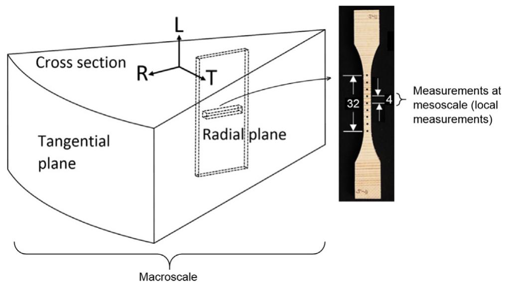 Schematic illustration showing the principal directions,