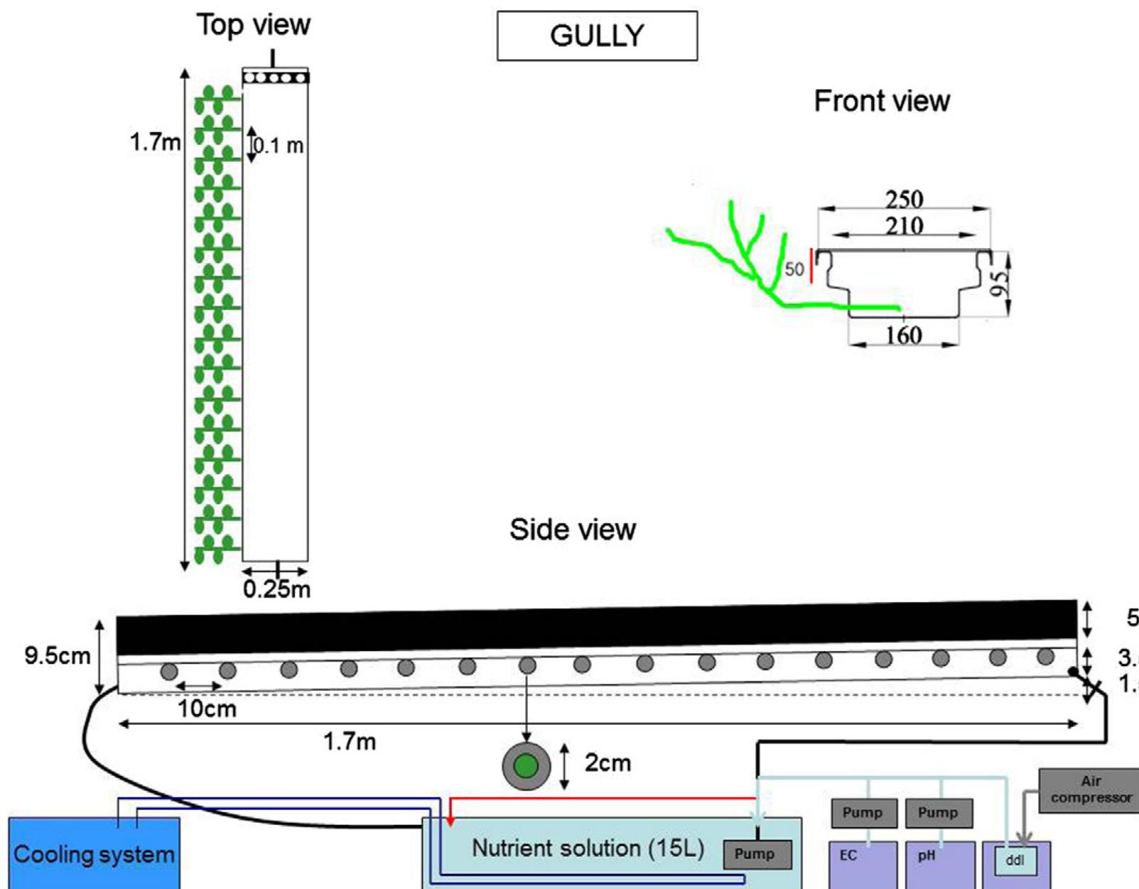 Schematic representation of the hydroponic system: top view,