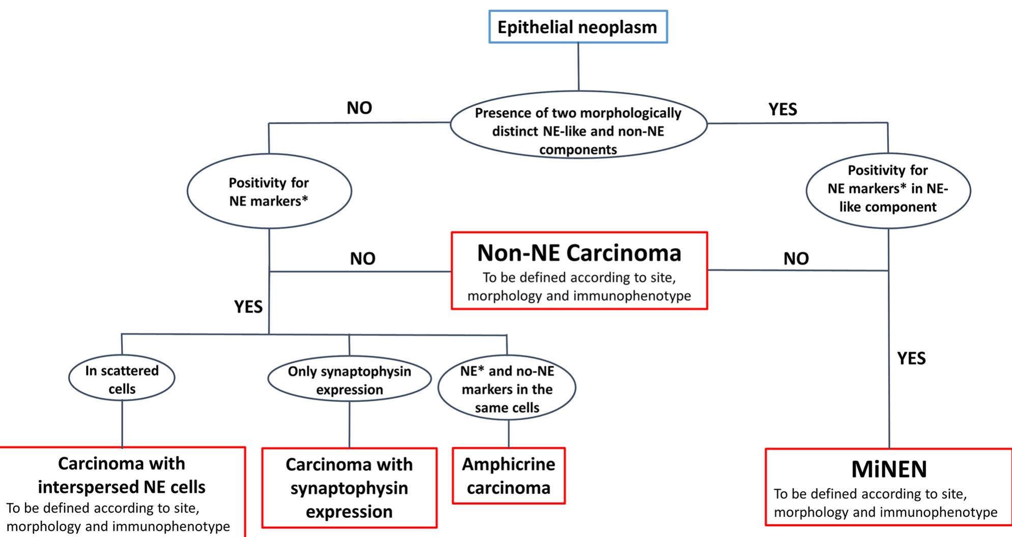 (PDF) Overview of the 2022 WHO Classification of Neuroendocrine Neoplasms