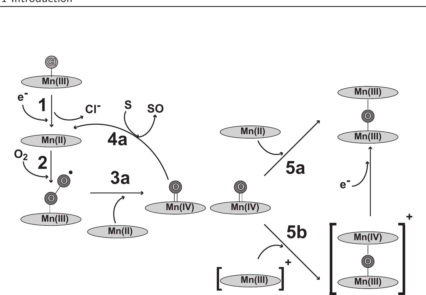 3: simplified scheme of the catalytic cycle of a manganese