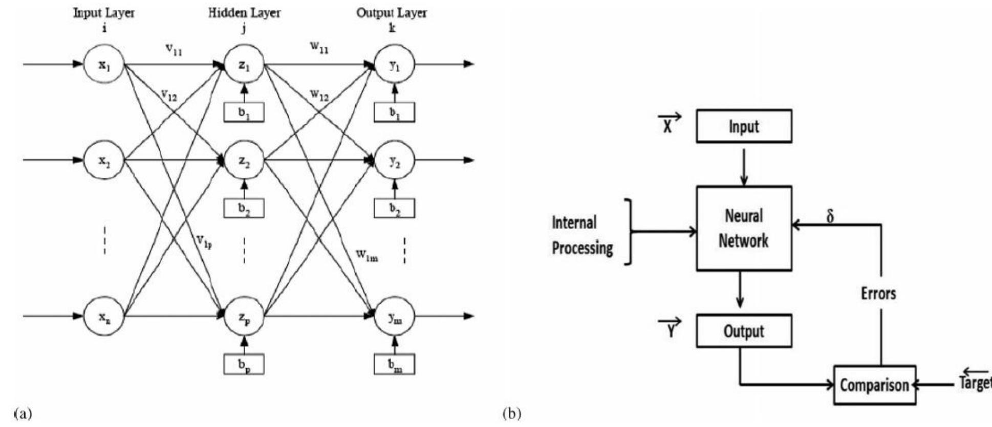 1. (a) architectural graph of a multilayer perception (mlp)