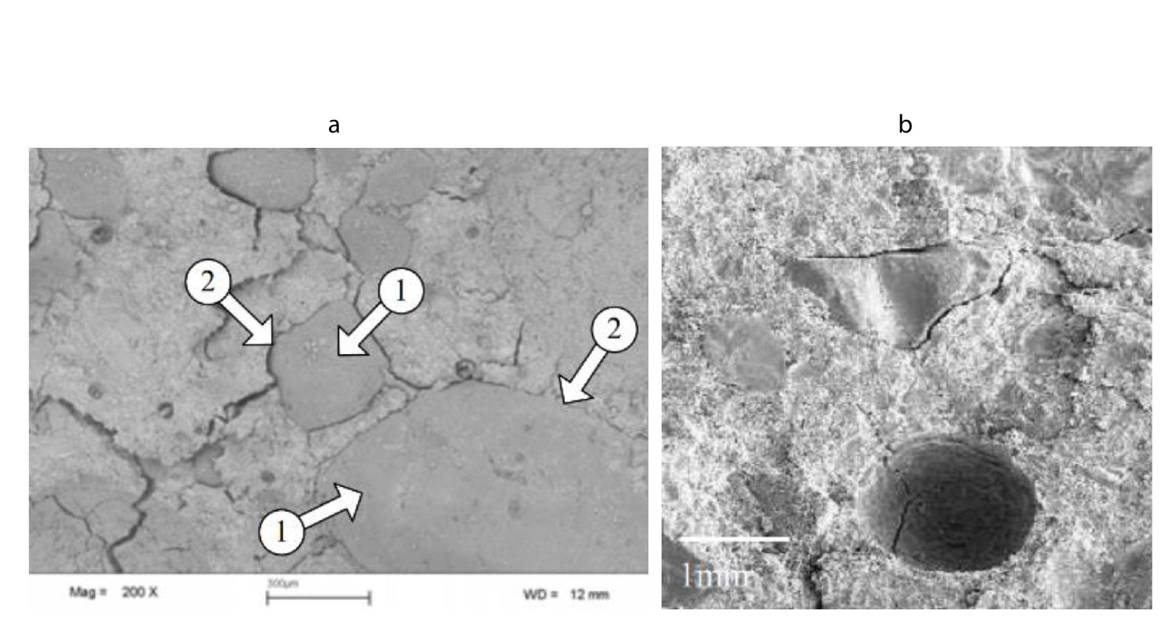 J.1. micro-cracks appear at the contact edge of the