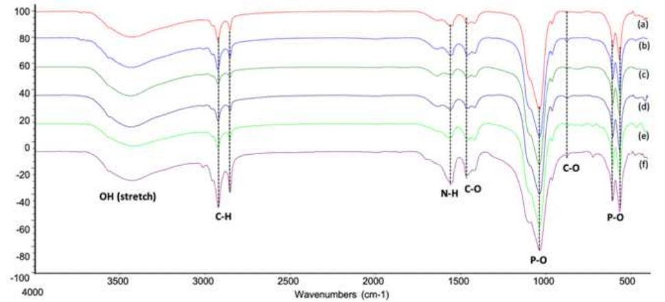 Ft-ir spectra of different fish bone fine powder: (a)