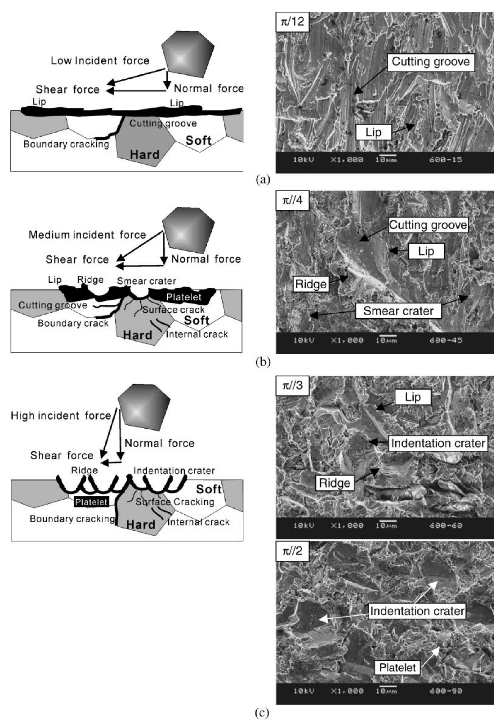 Schematic mechanism diagram and surface sem micrographs of