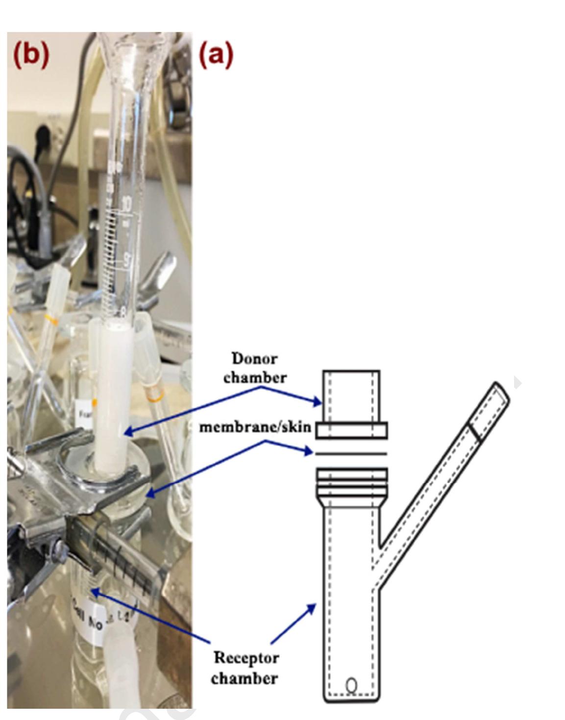 Franz diffusion cell system: (a) main components of the
