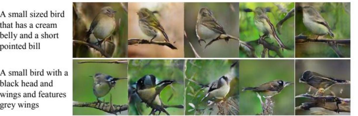 A Text To Image Synthesis Of Stackgan 142 Stackgan Shows