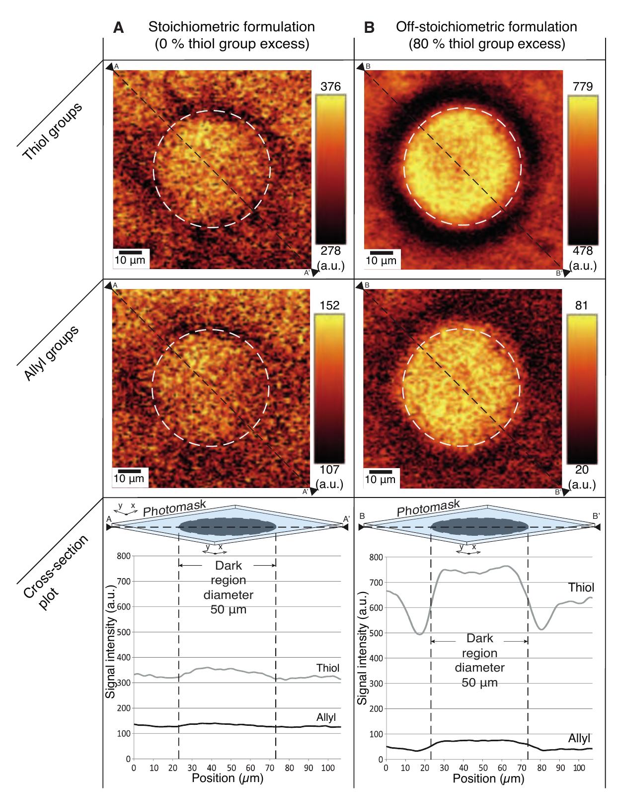 5. confocal raman microscope image showing the intensity for