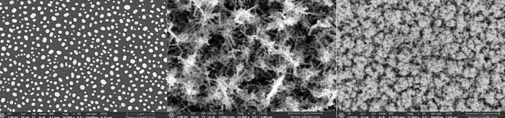 Scanning electron microscope images of the created and