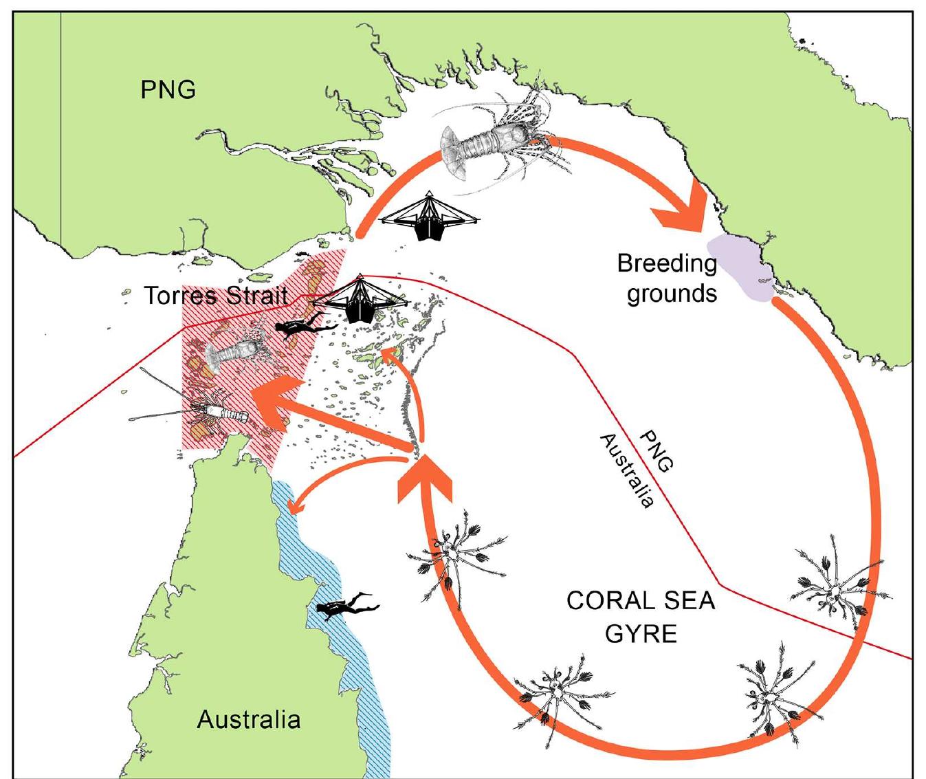 Map showing location of torres strait dive fishery (red