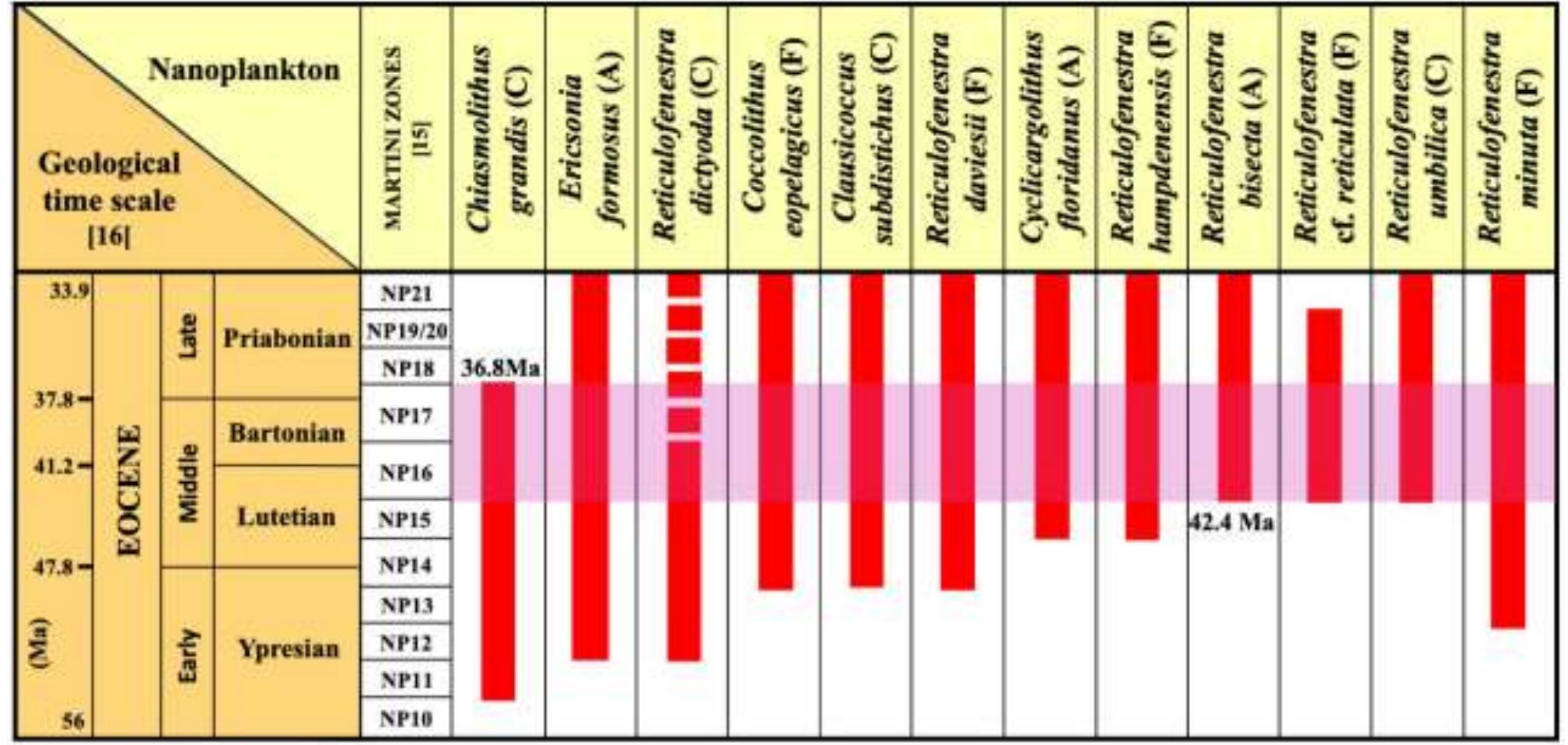 Chronostratigraphic table with the age ranges of the most