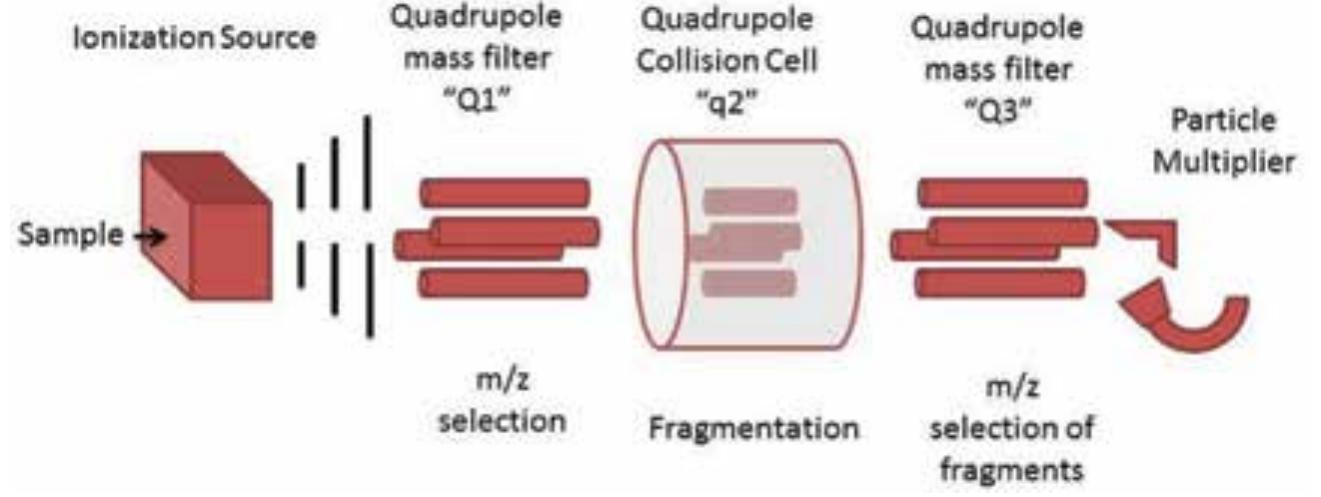 Triple quadrupole mass analyzer (qqq) [49]. as seen in the