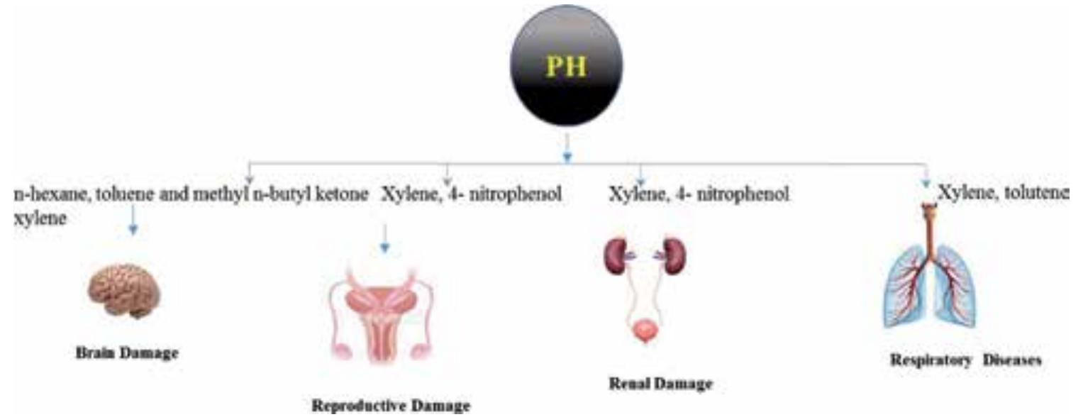 Ph effect on humans. all together for oil metabolites have a