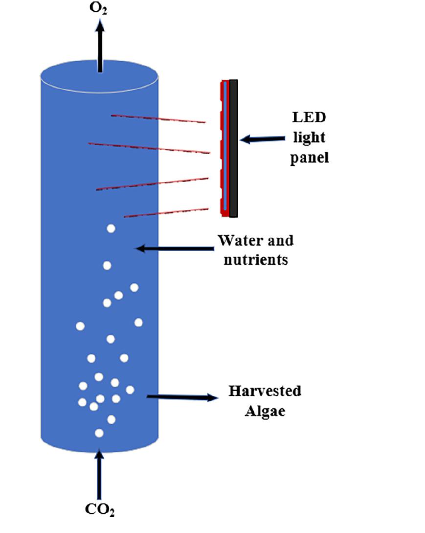 Schematic of photobioreactor (bpr) algae cultivation system.