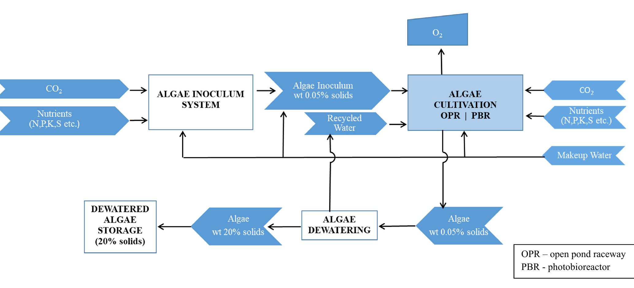 Simplified process flow diagram showing algae biomass
