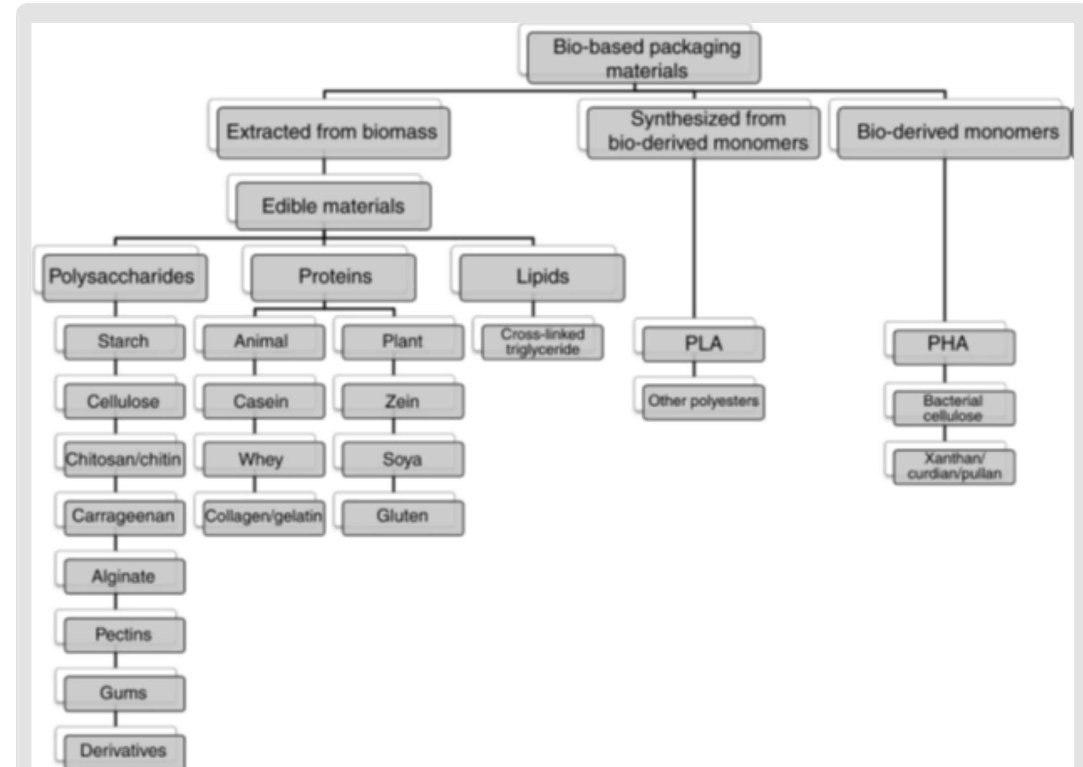 Schematic representation of bio-based packaging materials Schematic representation of bio-based packaging materials