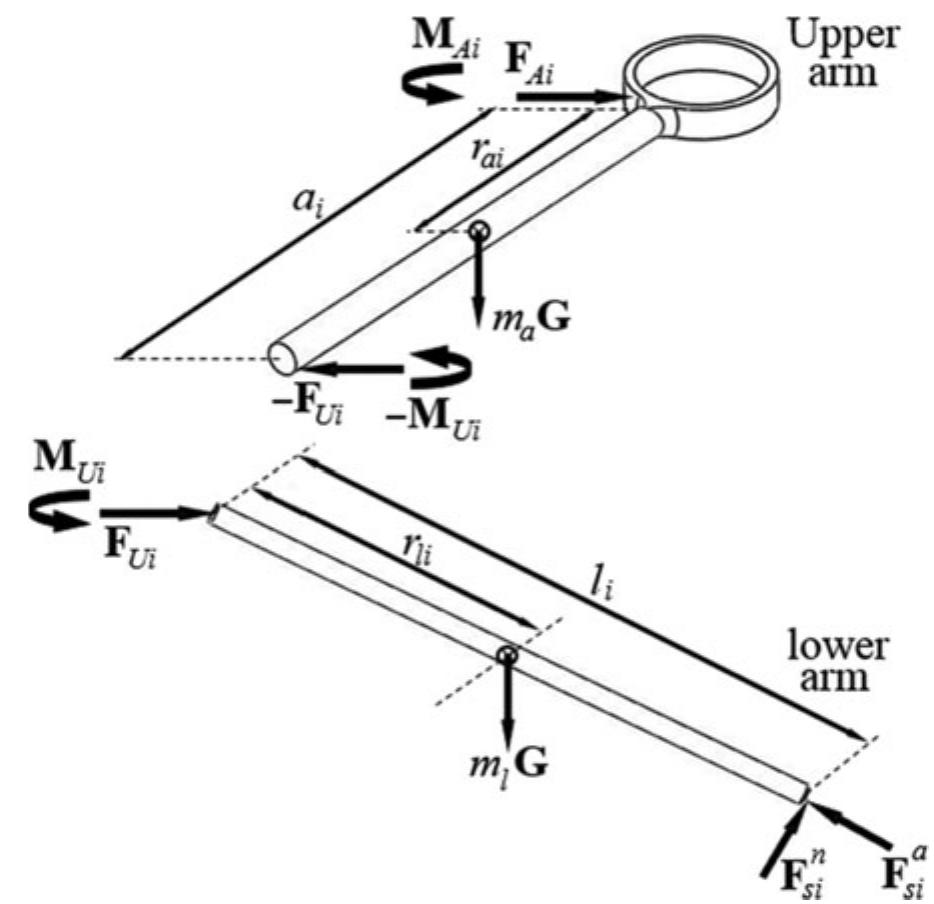 Free body diagram of ith arm showing forces and moments for