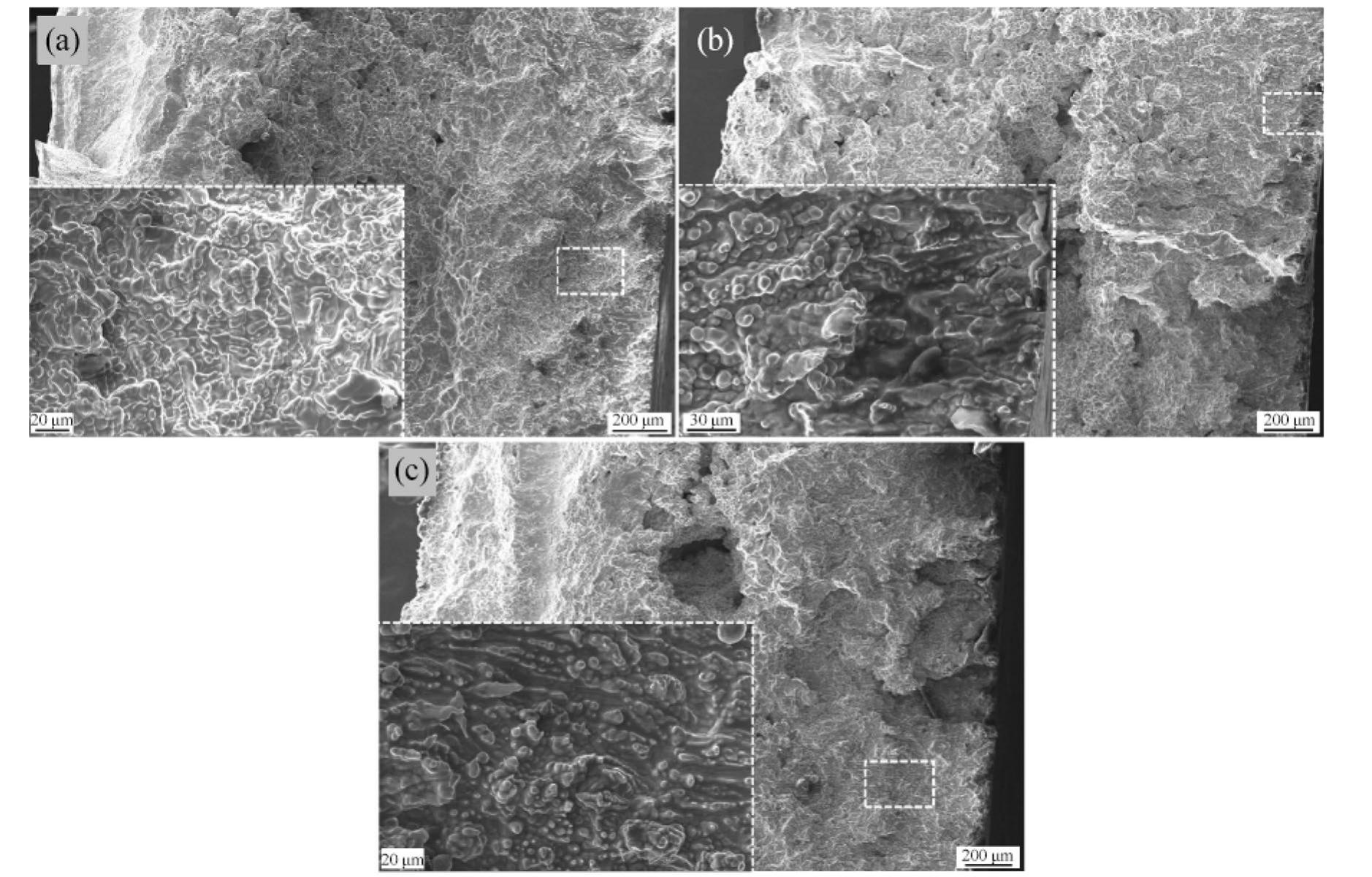 Sem images of crack fractures of cast strips at different