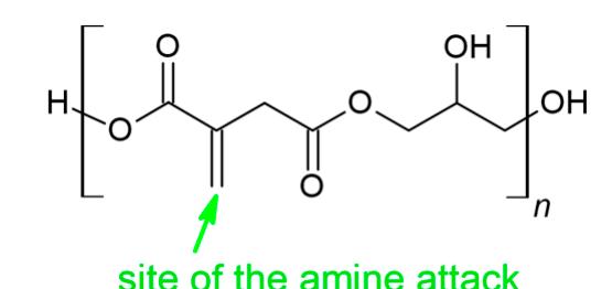 The preferred site of the amine attack in the aza-michael