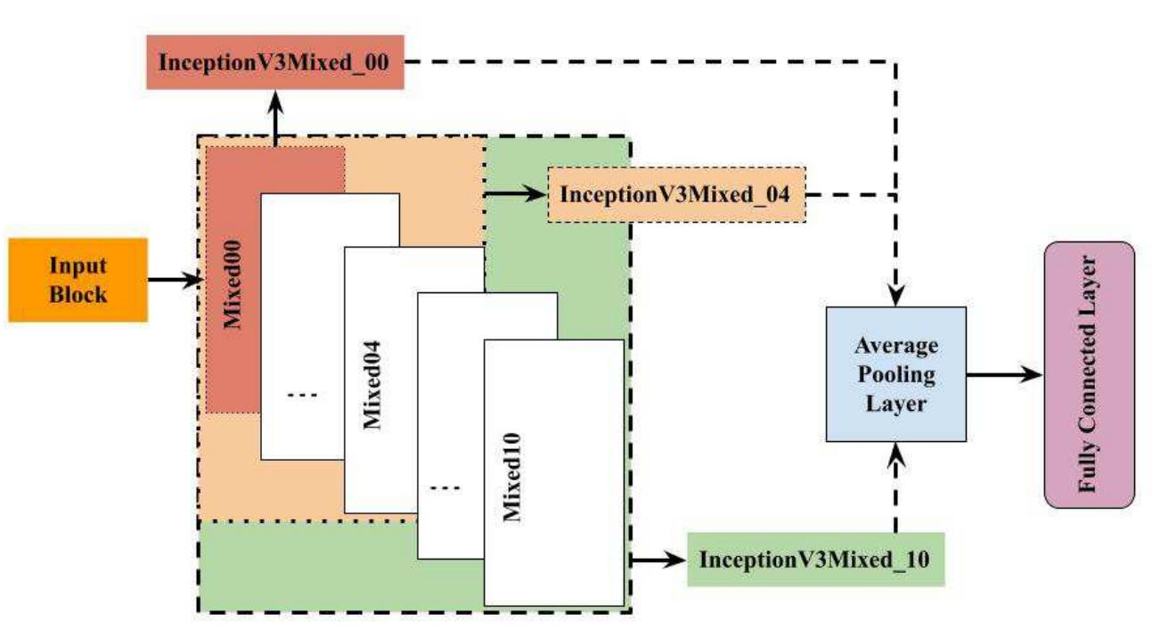 Inter-block exchange in inceptionv3 architecture