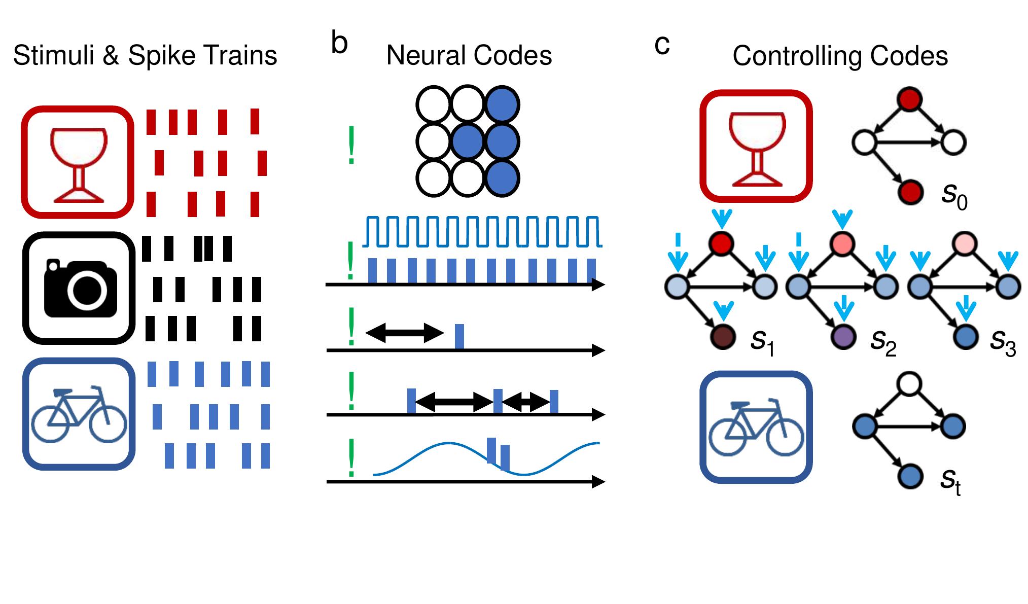 Neural codes and cognition. a speculative schematic for the