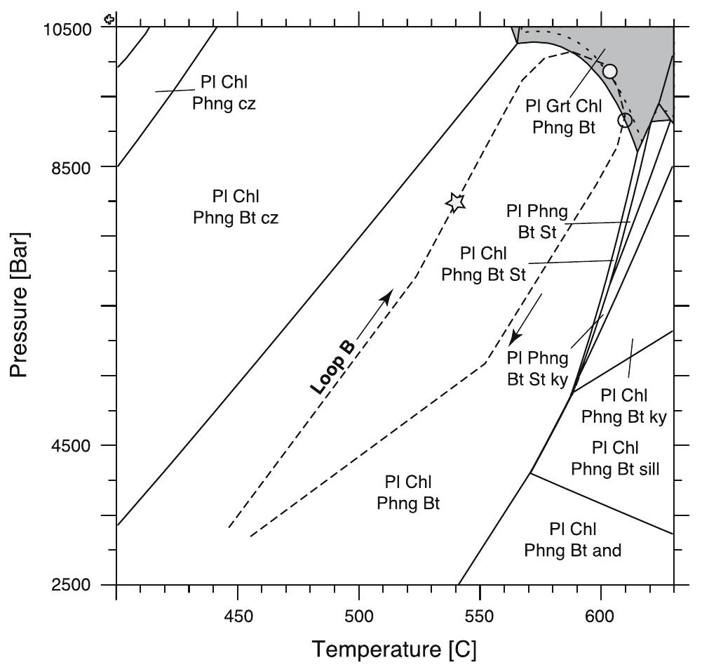 P-t phase diagram section illustrating the equilibrium phase