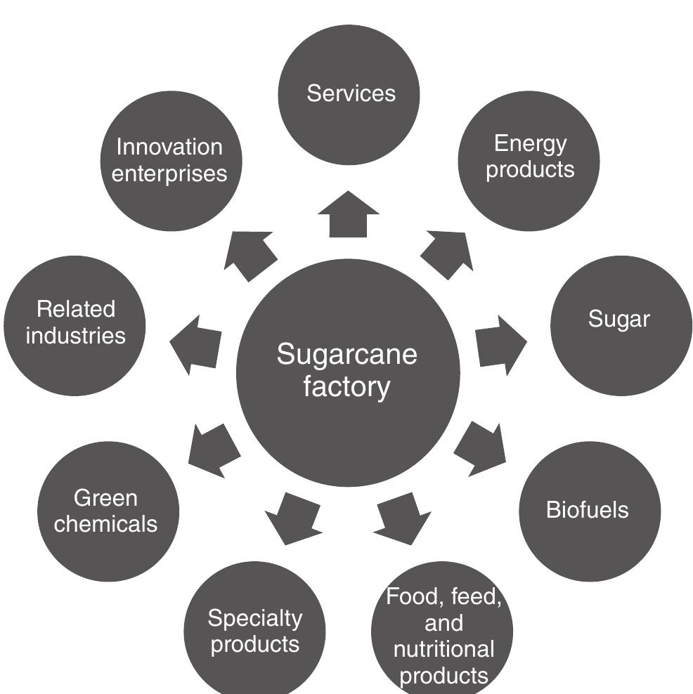 Figure 4 - from Pulp and paper production from sugarcane