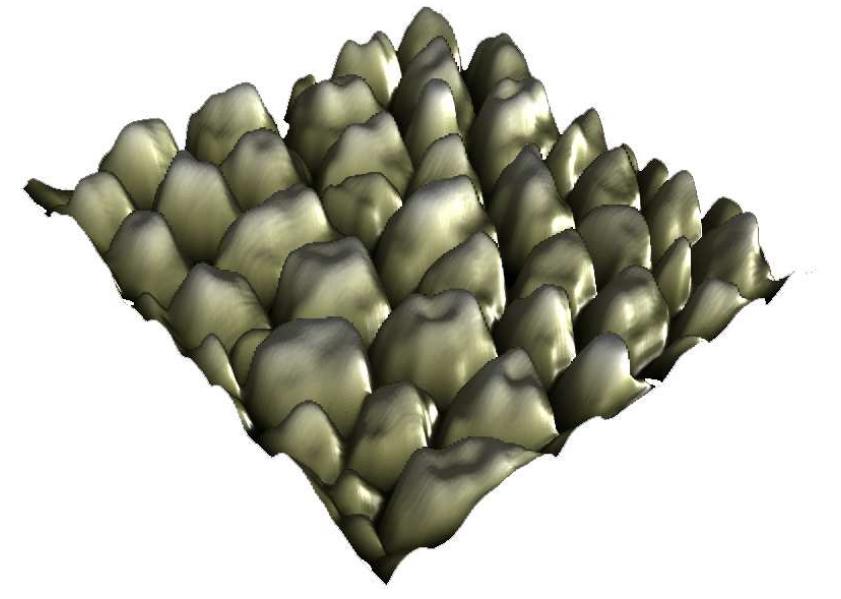 Displacement mapping with local ray tracing im- plemented on