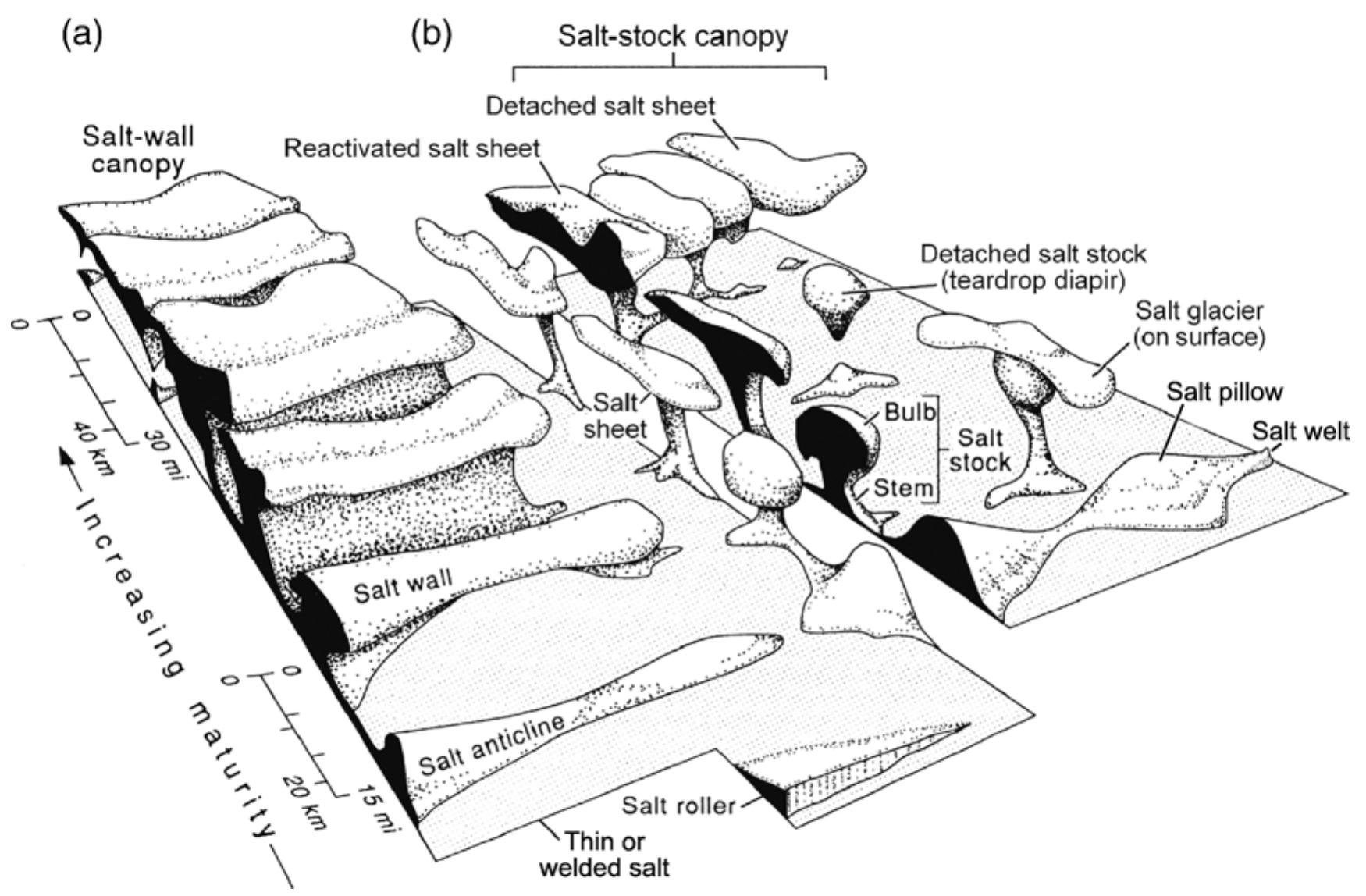 Block diagram showing schematic shapes of salt structures.