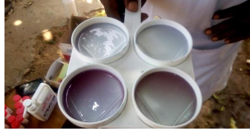 Plate-v. swirling of cmt reagent and milk samples for the