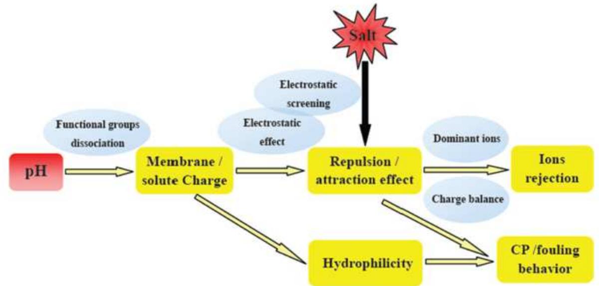18: mechanism schematic of ph and salt effect: electrostatic