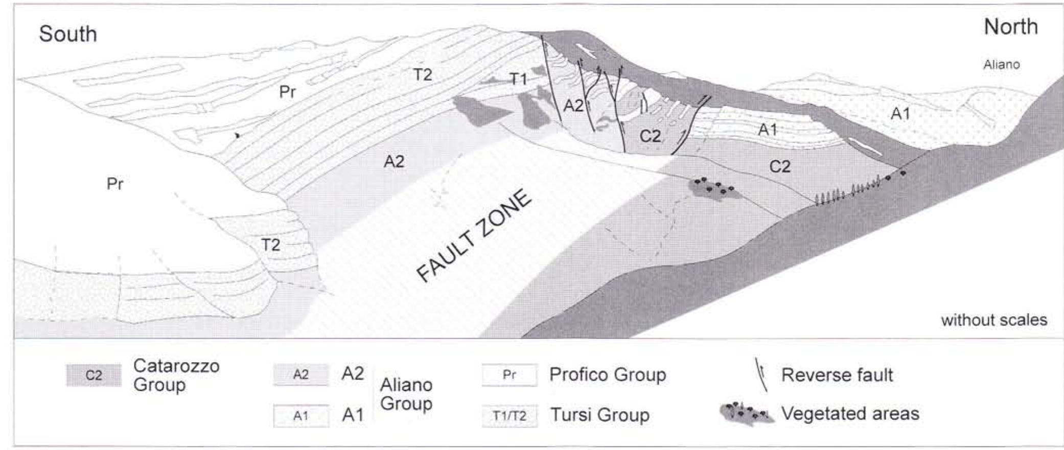 - geological sketch of the alianello fault zone, as observed