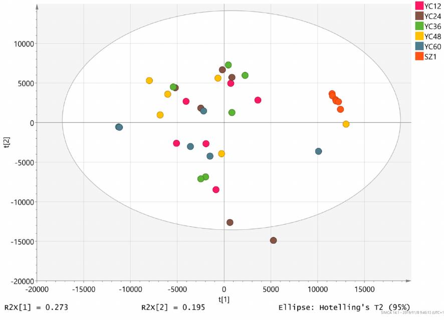 The 2d principal component analysis (pca) score map.