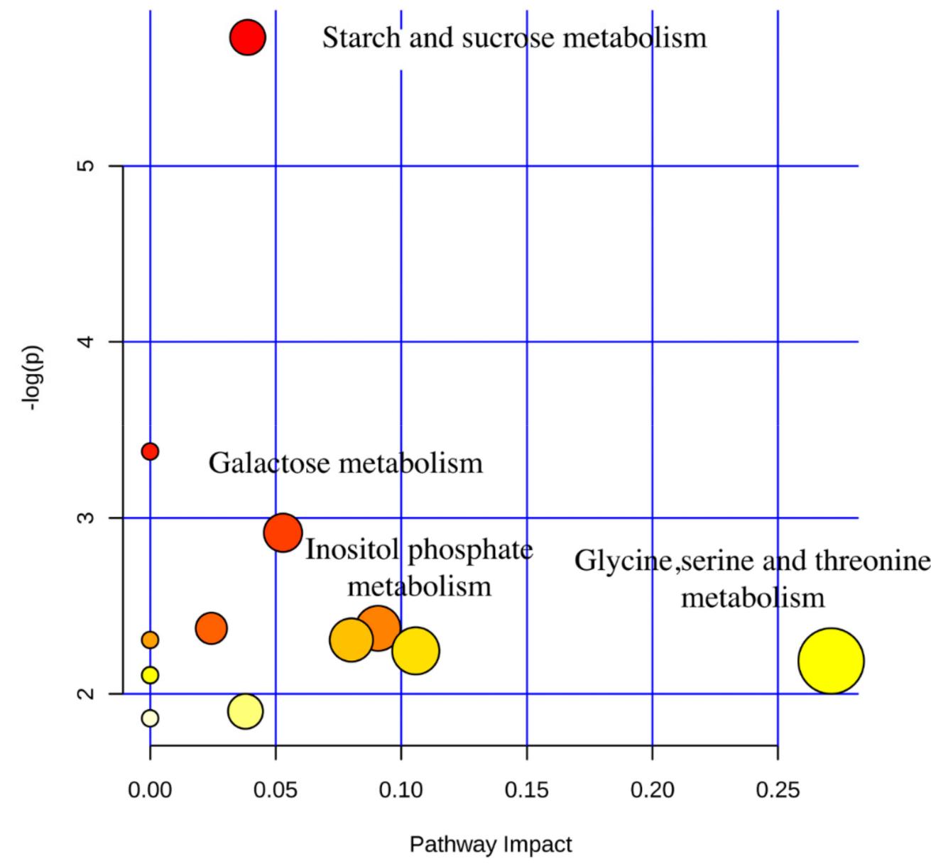 The metabolome view map of the functional impact pathways