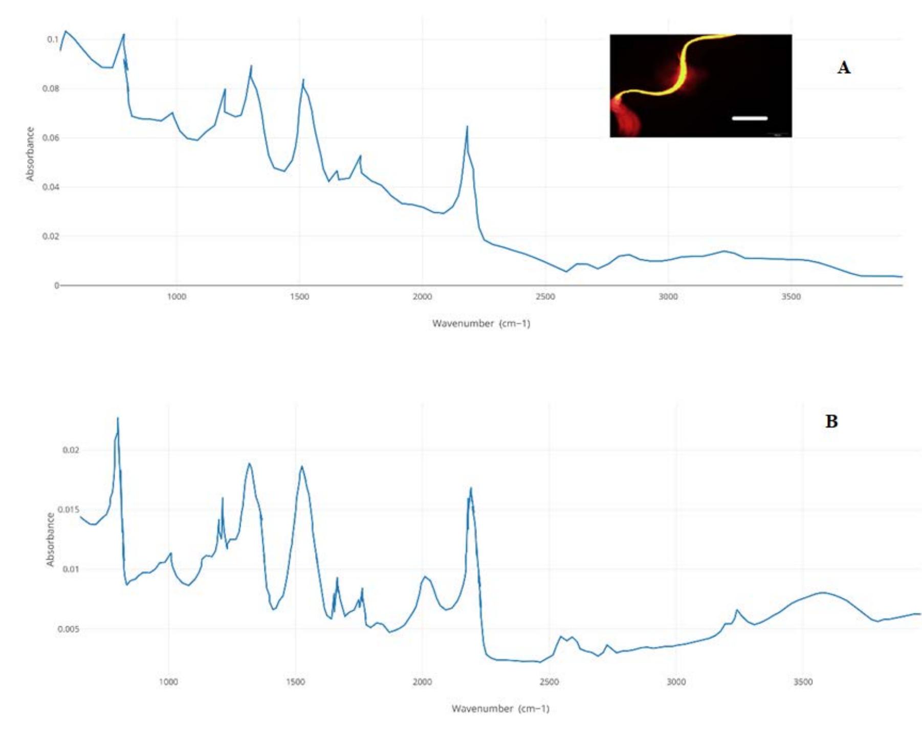 S8 fourier-transform infrared (ftir) spectra of microplastic