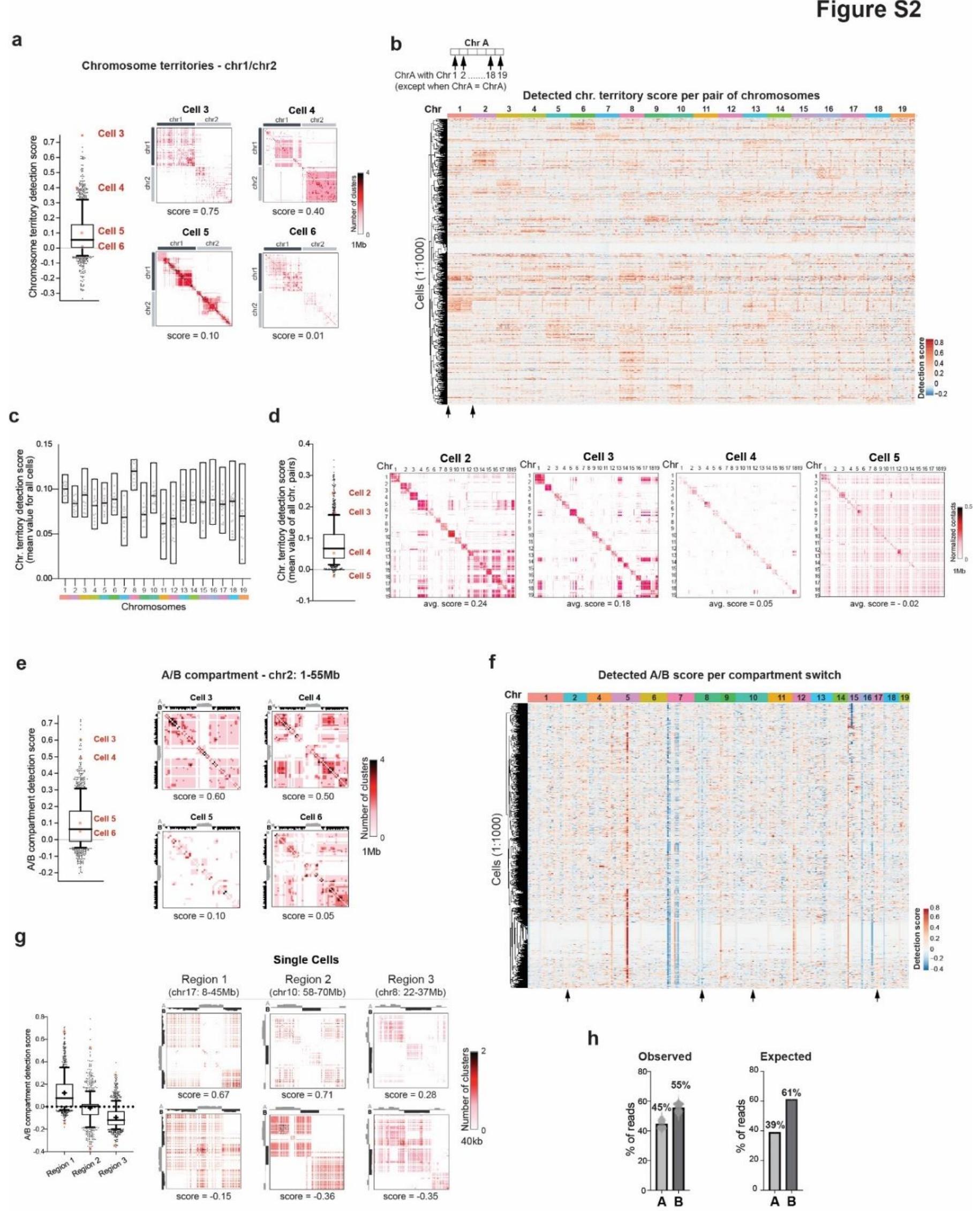 Figure 7 - Development of Single-Cell SPRITE: A Tool for