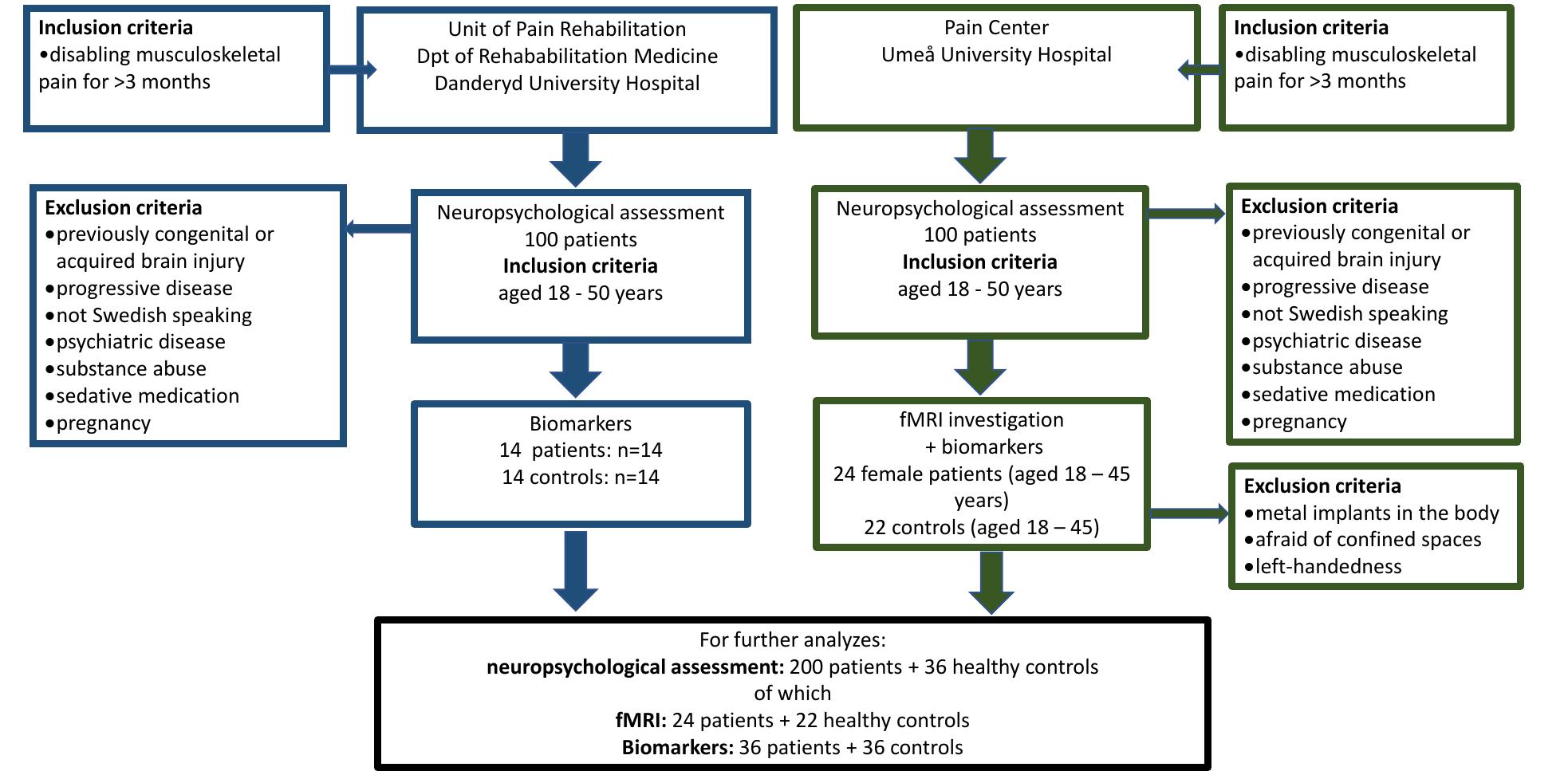 Study flowchart. fmri, functional mri.