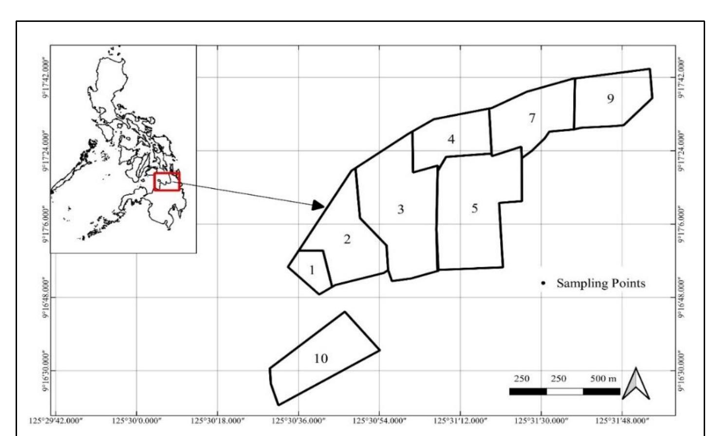 The mining facility has twelve areas for figure 1. study