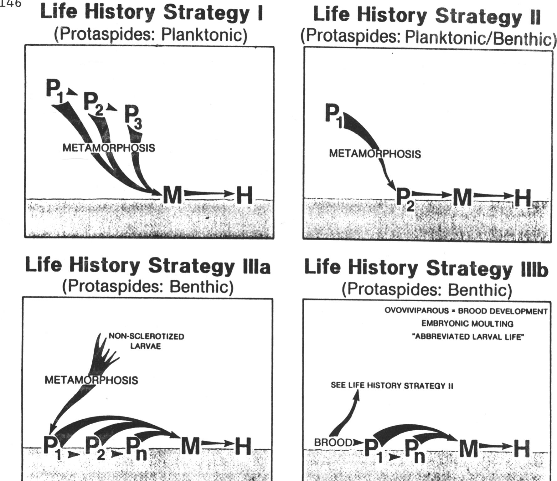[gure 6— two basic developmental patterns are indicated by