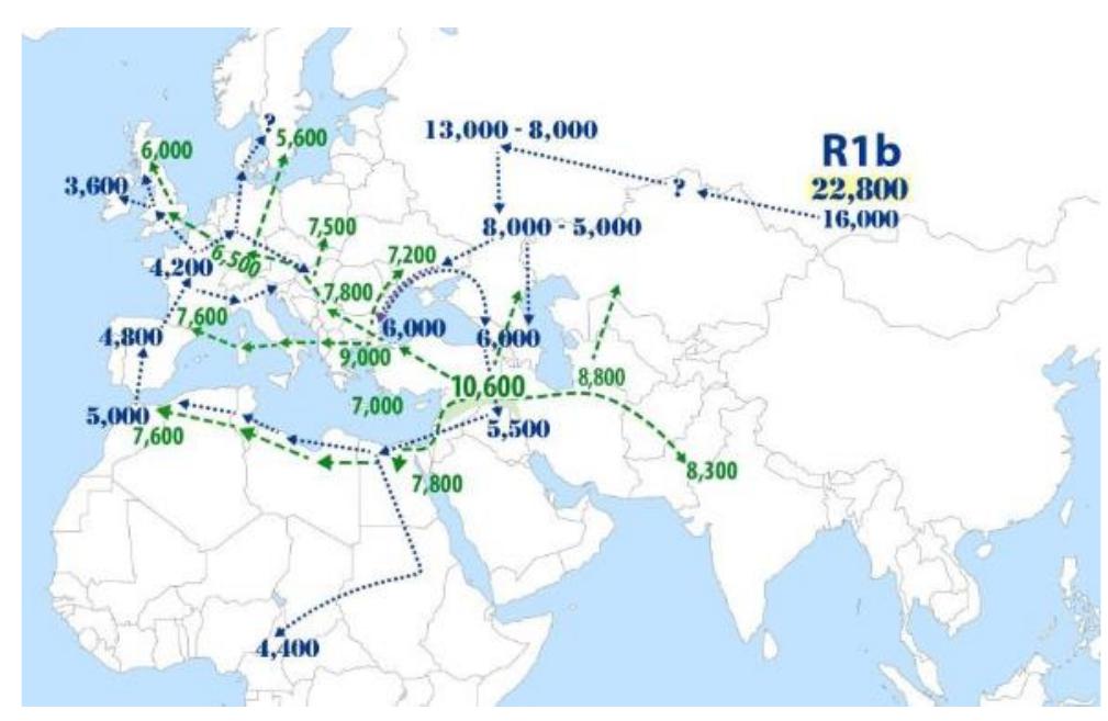Map of the spread of haplogroup r1b according to anton