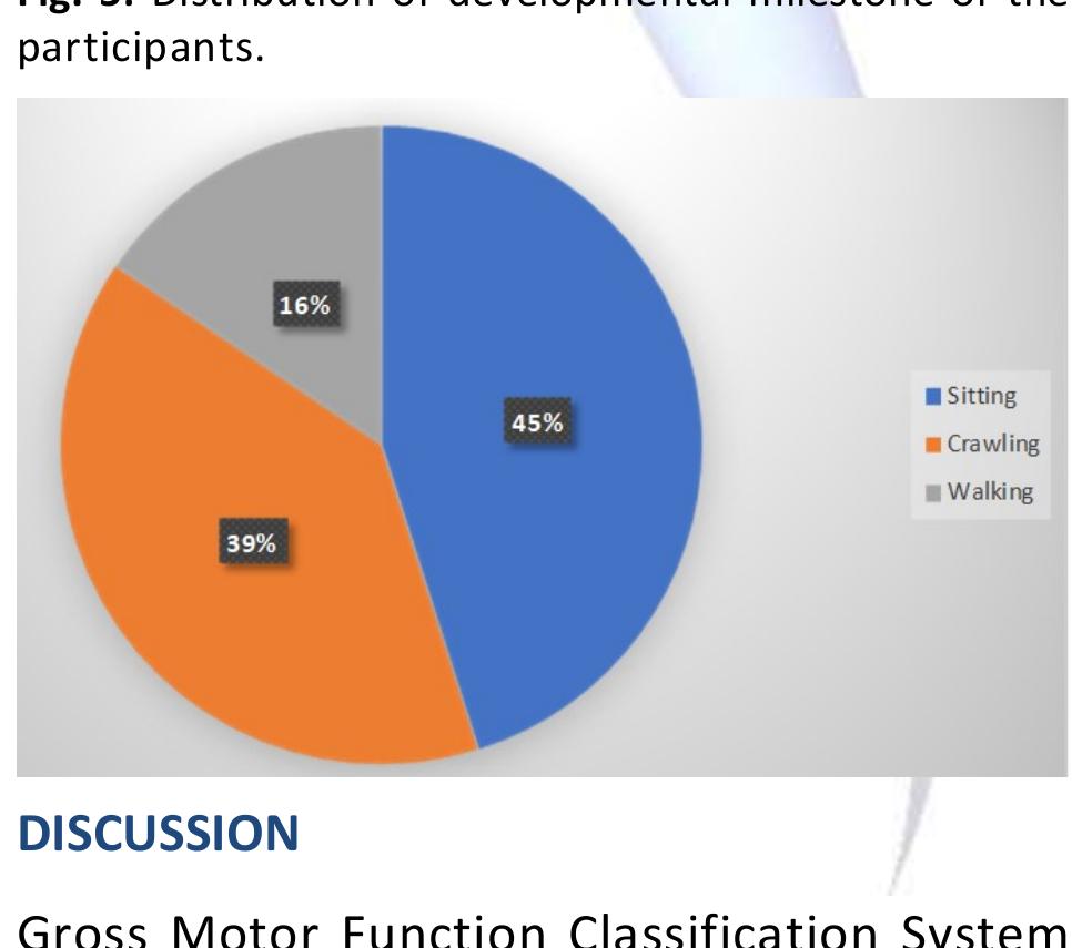 Figure 2 Gross Motor Function Classification System