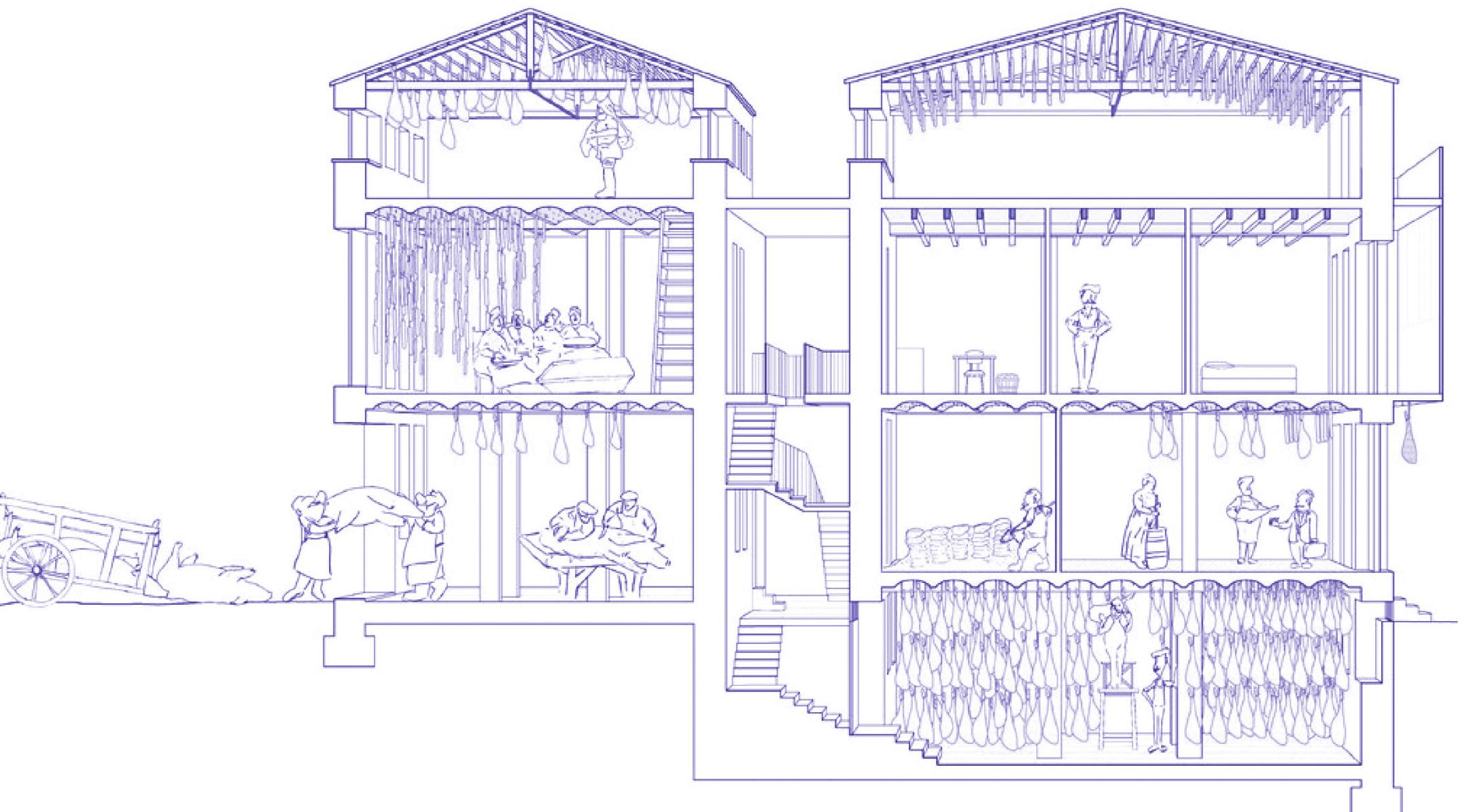 - schematic representation of a traditional iberian pork