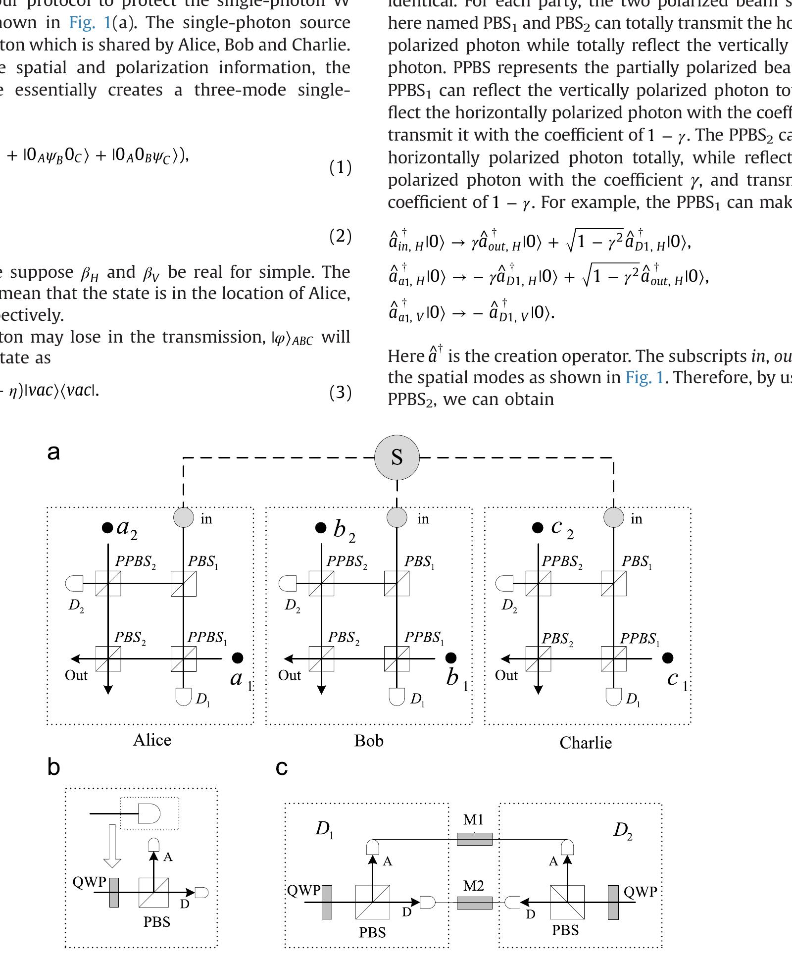 The schematic diagram of the amplification protocol. (a)