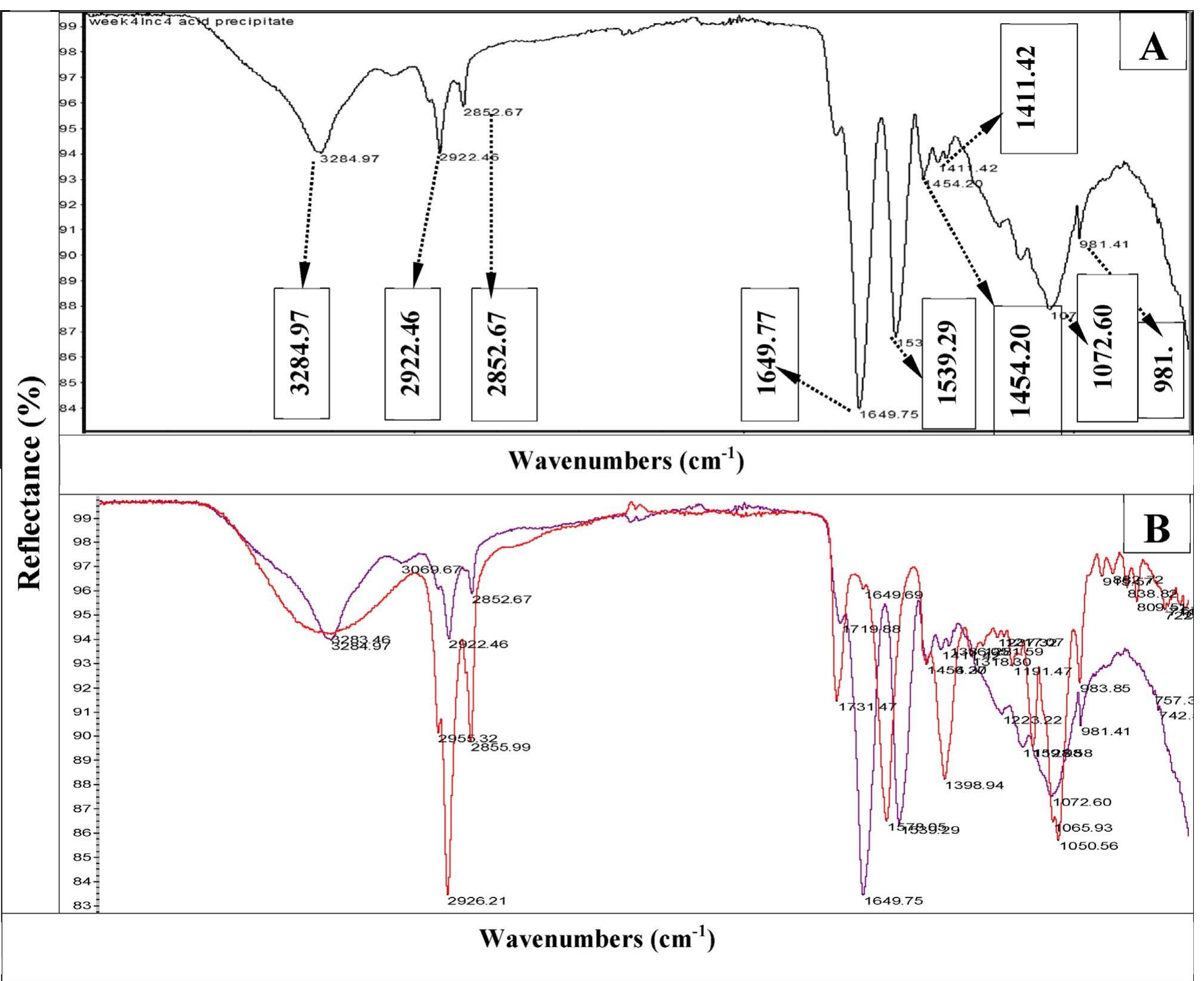 An example of an atr ftir spectrum of (a) acp(l) type-sample